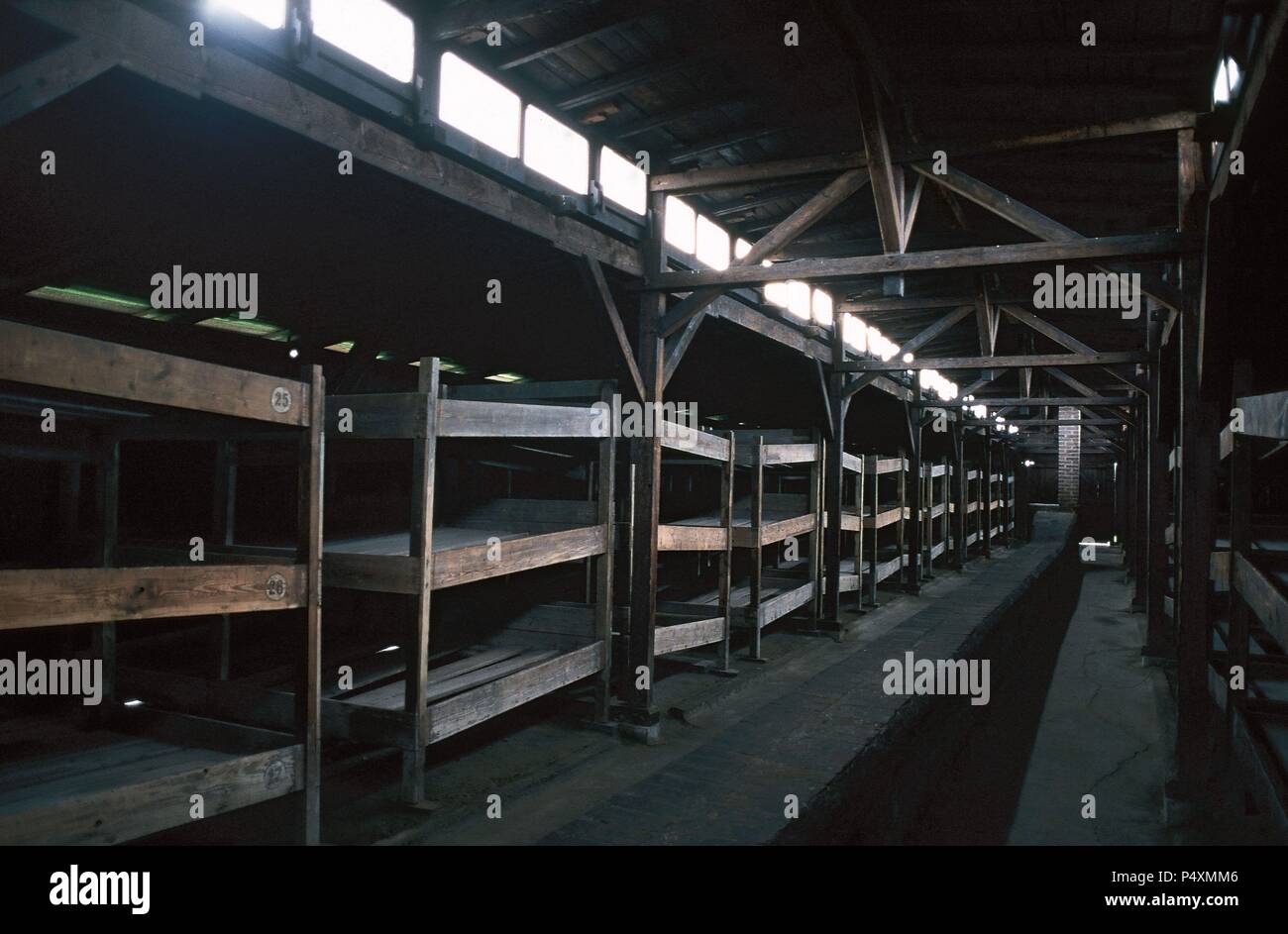 SEGUNDA GUERRA MUNDIAL (1939-1945). CAMPO DE CONCENTRACION DE Auschwitz ...