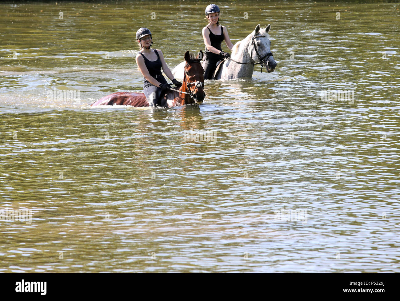 Pferde An Einem See Stockfotos und -bilder Kaufen - Alamy