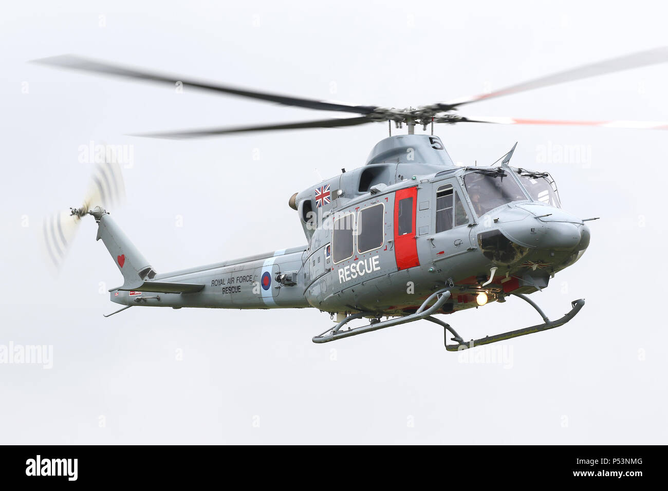 Greif har2 -Fotos und -Bildmaterial in hoher Auflösung – Alamy