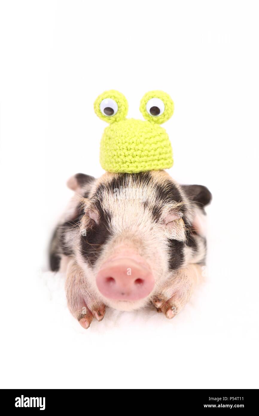 Bauernhof hütte Ausgeschnittene Stockfotos und -bilder - Alamy