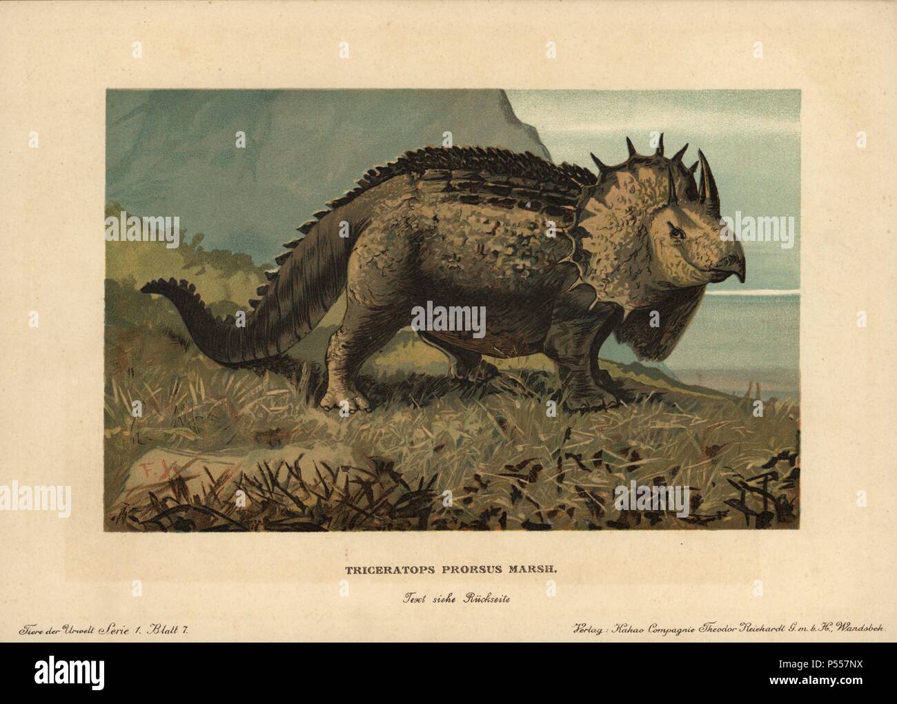 Kreidezeit gattung -Fotos und -Bildmaterial in hoher Auflösung – Alamy