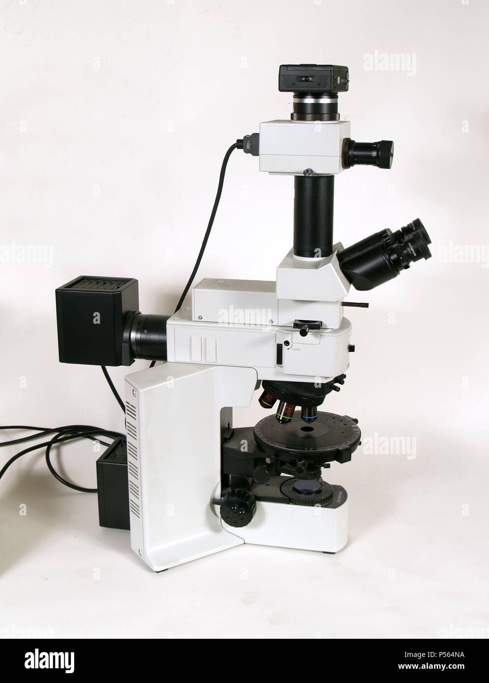 Rocas metamorficas -Fotos und -Bildmaterial in hoher Auflösung – Alamy