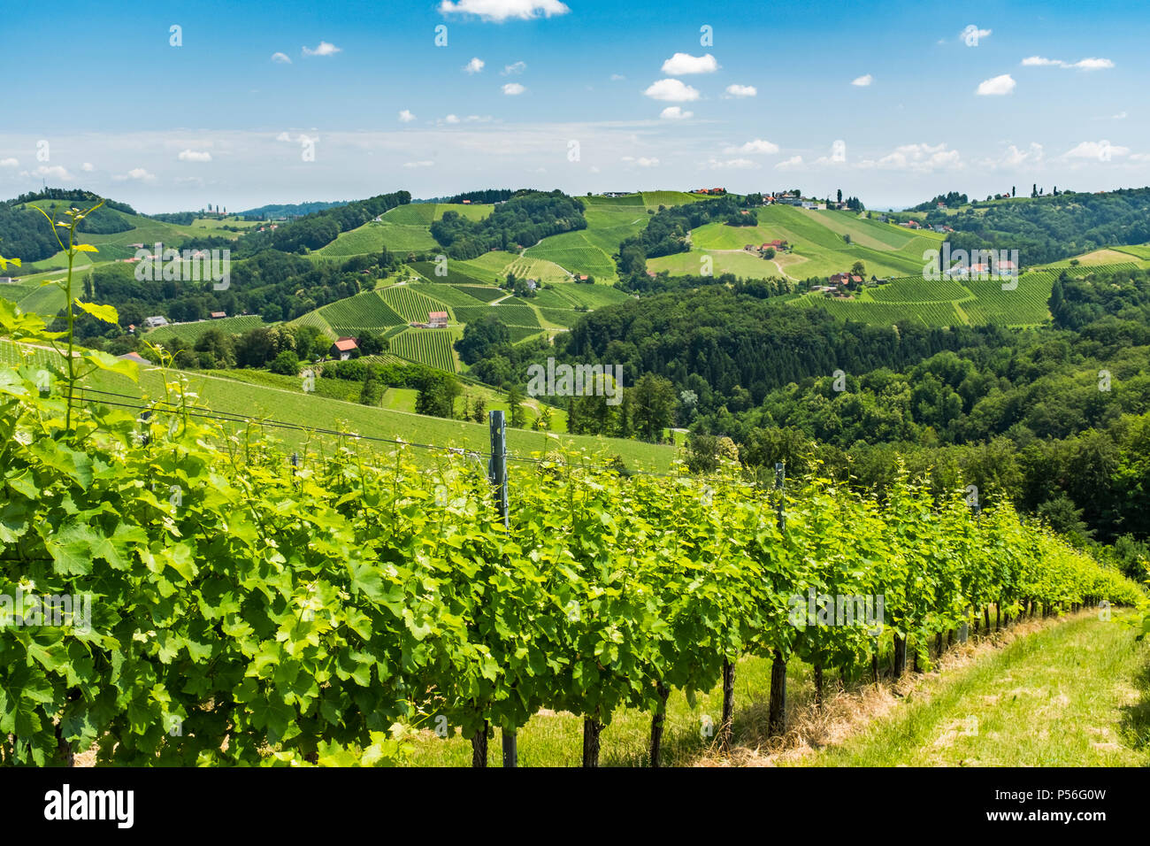 Steirisches weinland -Fotos und -Bildmaterial in hoher Auflösung – Alamy