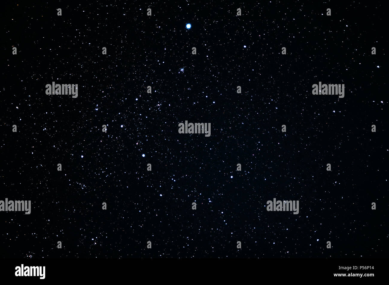 Canis Major Constellation Stockfotos und -bilder Kaufen - Alamy