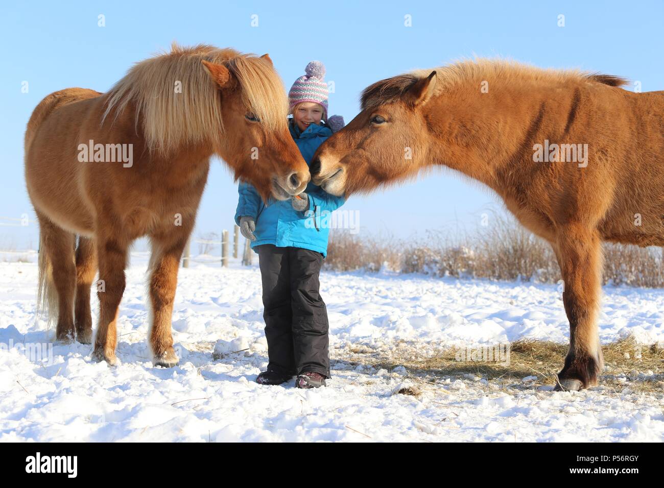Islander vegetables -Fotos und -Bildmaterial in hoher Auflösung – Alamy