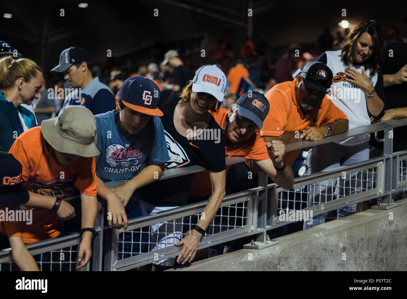Cws champions -Fotos und -Bildmaterial in hoher Auflösung – Alamy