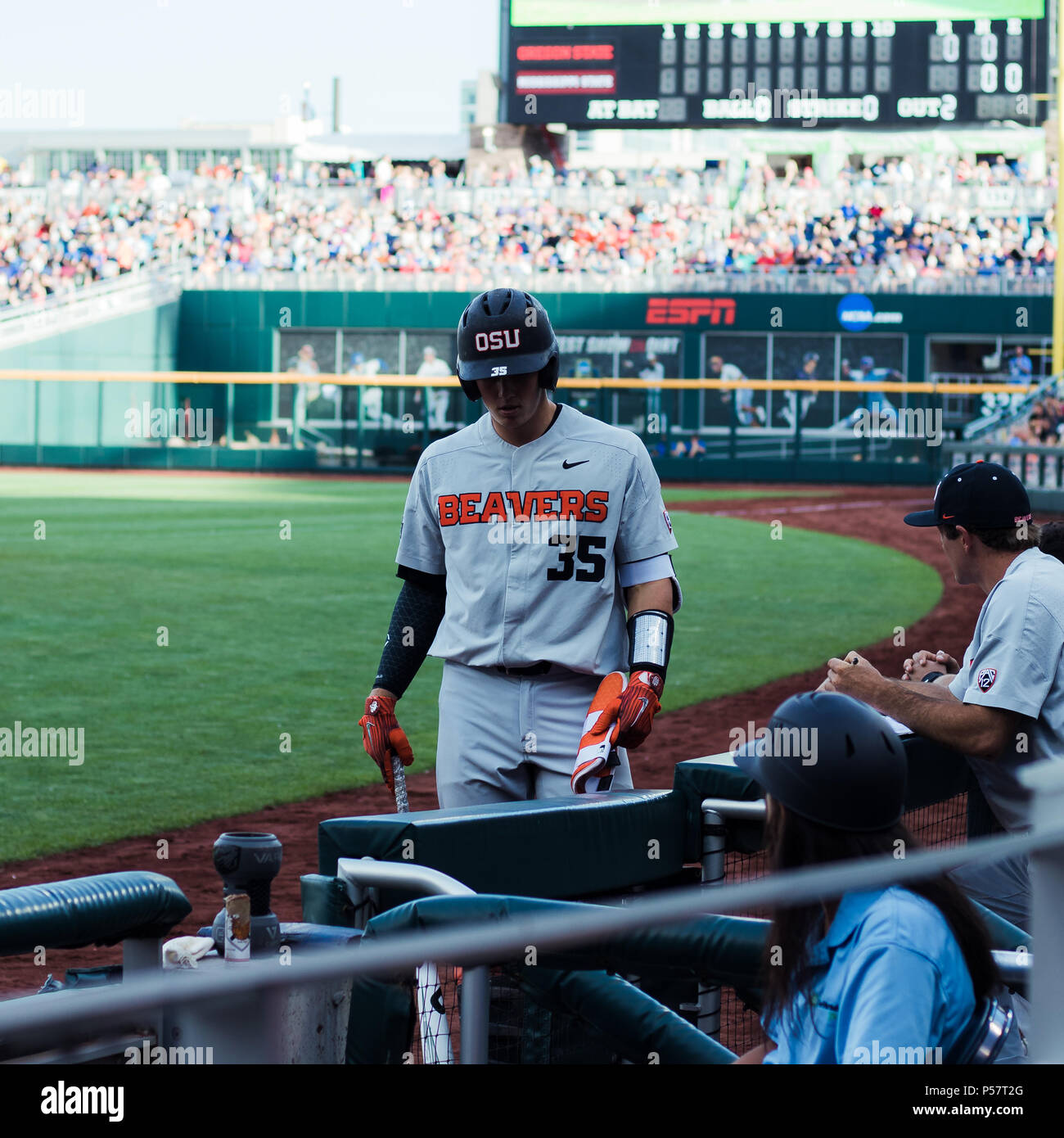 Cws champions -Fotos und -Bildmaterial in hoher Auflösung – Alamy