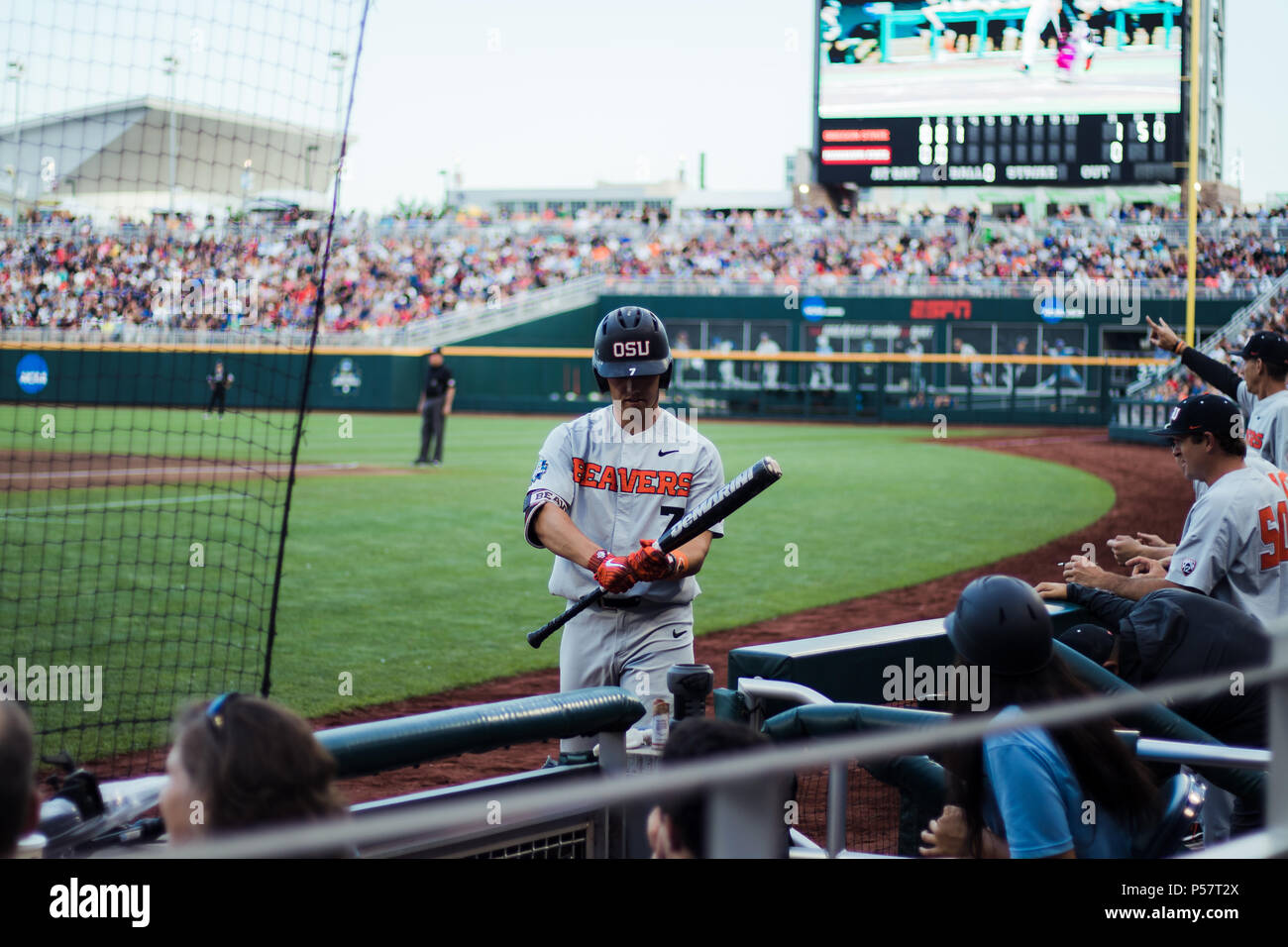 Cws champions -Fotos und -Bildmaterial in hoher Auflösung – Alamy