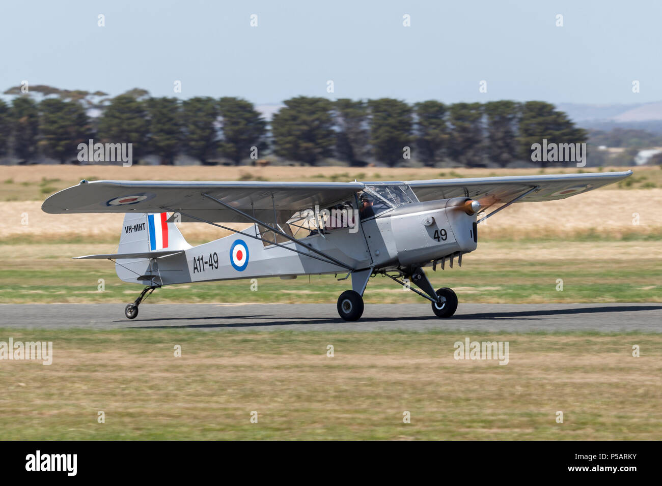 Auster iii -Fotos und -Bildmaterial in hoher Auflösung – Alamy