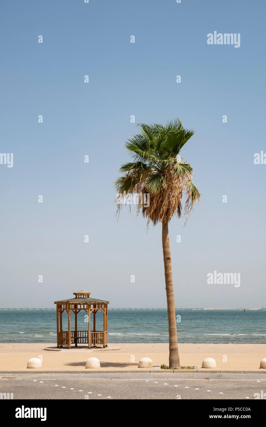 Kuwait city beach -Fotos und -Bildmaterial in hoher Auflösung – Alamy