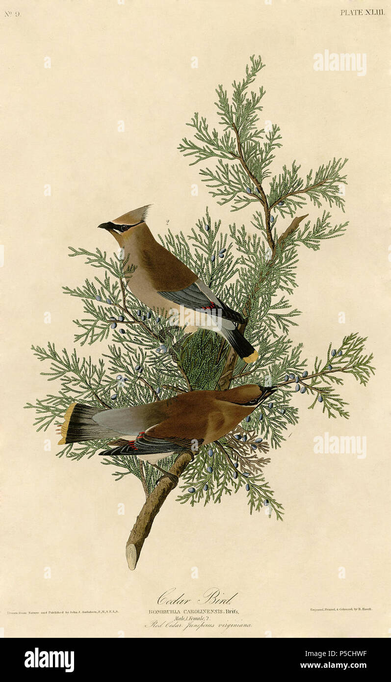 N 44 22 43 -Fotos und -Bildmaterial in hoher Auflösung – Alamy