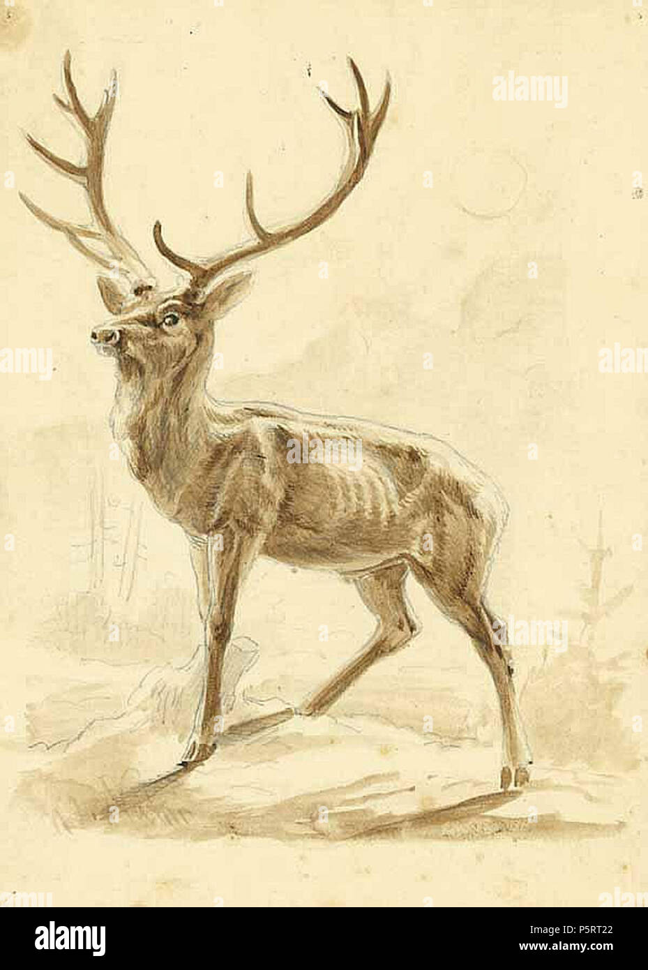 Carl Hirsch Stockfotos und -bilder Kaufen - Alamy