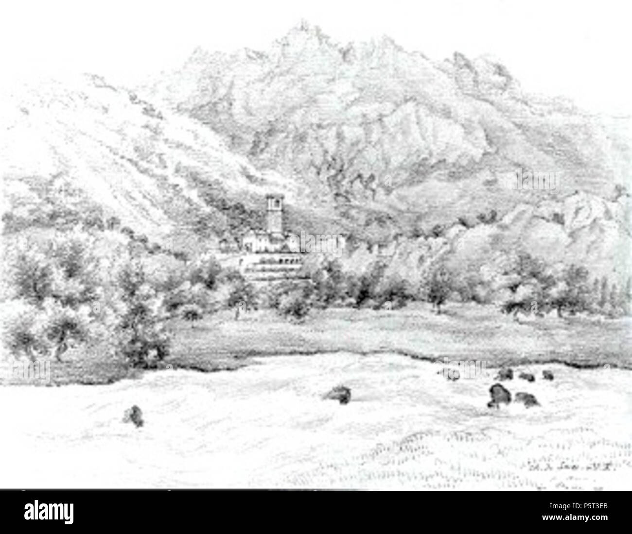 Disegno matita -Fotos und -Bildmaterial in hoher Auflösung – Alamy