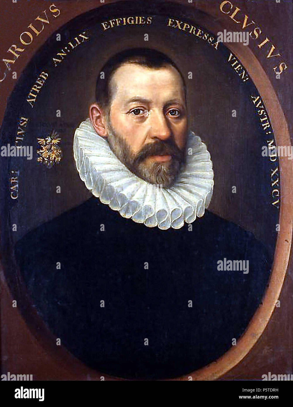 Portrait von Carolus Clusius. Englisch: Dieses Portrait ist der einzige ...