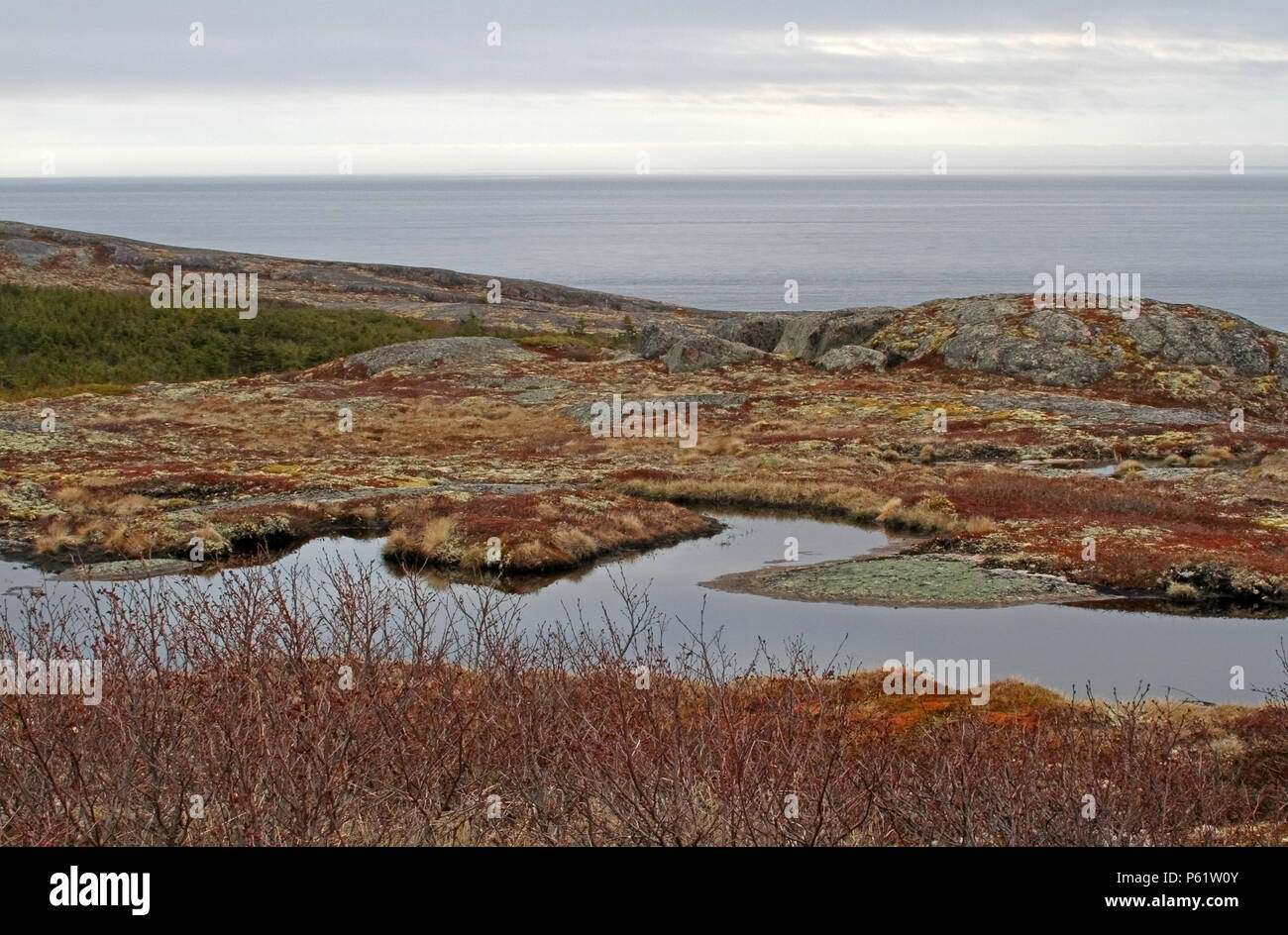 Landschaft scenics entlang Labrador Coastal Drive 510 N, Trans Labrador ...
