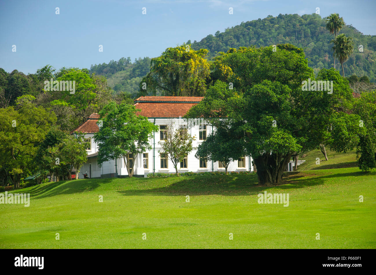 Peradeniya botanical garden -Fotos und -Bildmaterial in hoher Auflösung ...