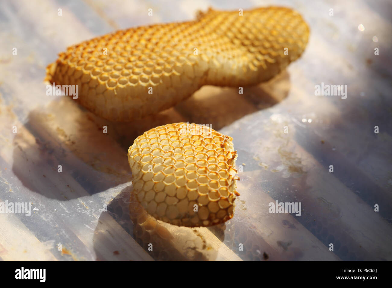 The honeycombs -Fotos und -Bildmaterial in hoher Auflösung – Alamy