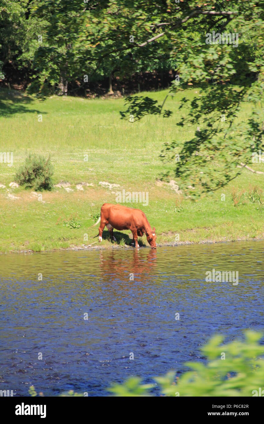 Llangollen museum -Fotos und -Bildmaterial in hoher Auflösung – Alamy