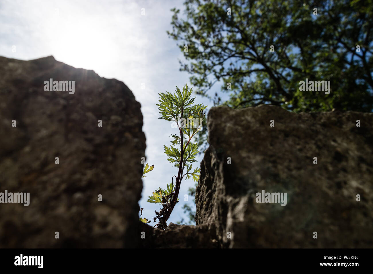 Riss In Stein Stockfotos und -bilder Kaufen - Alamy