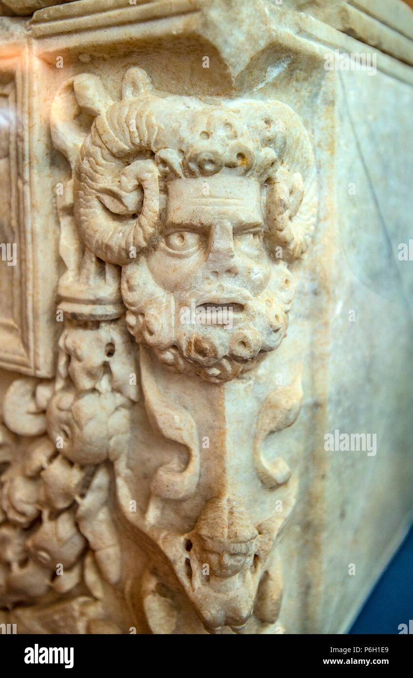 Caius vehilis rufus -Fotos und -Bildmaterial in hoher Auflösung – Alamy