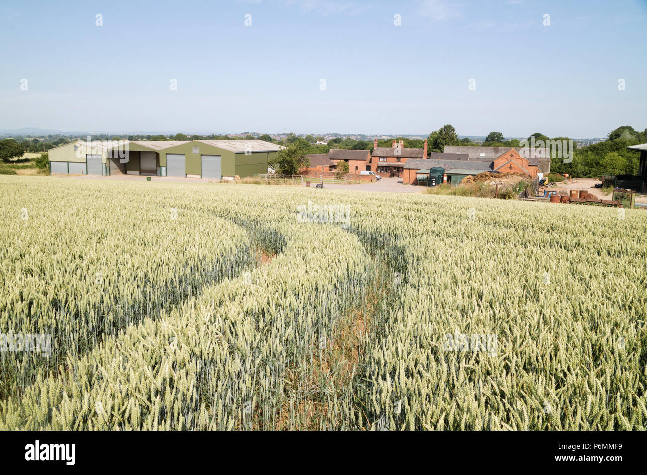 Ernte feld bauernhof landwirtschaft landwirtschaft england englisch ...