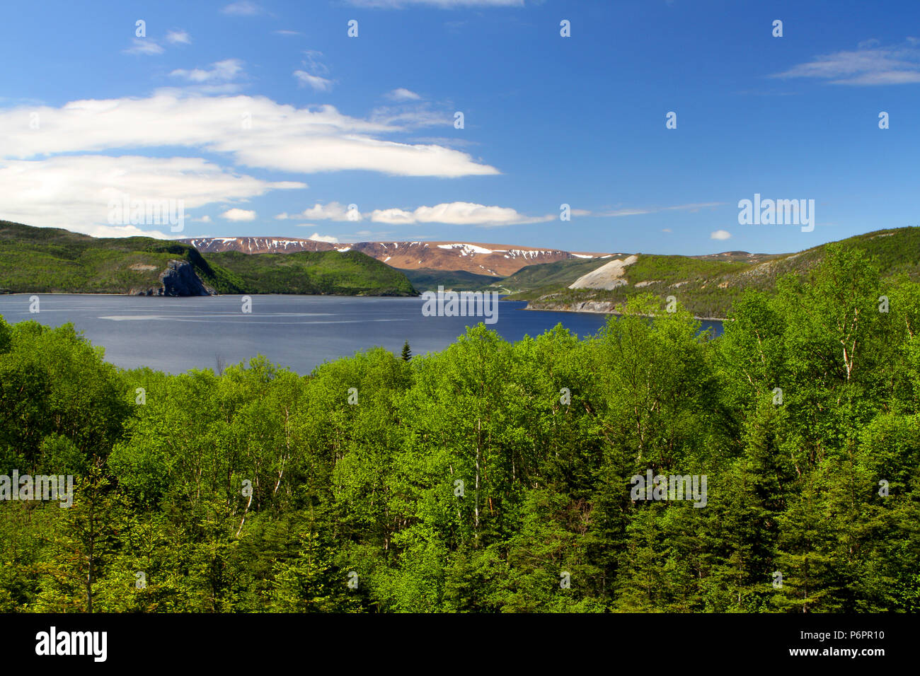 Newfoundland and labrador -Fotos und -Bildmaterial in hoher Auflösung ...
