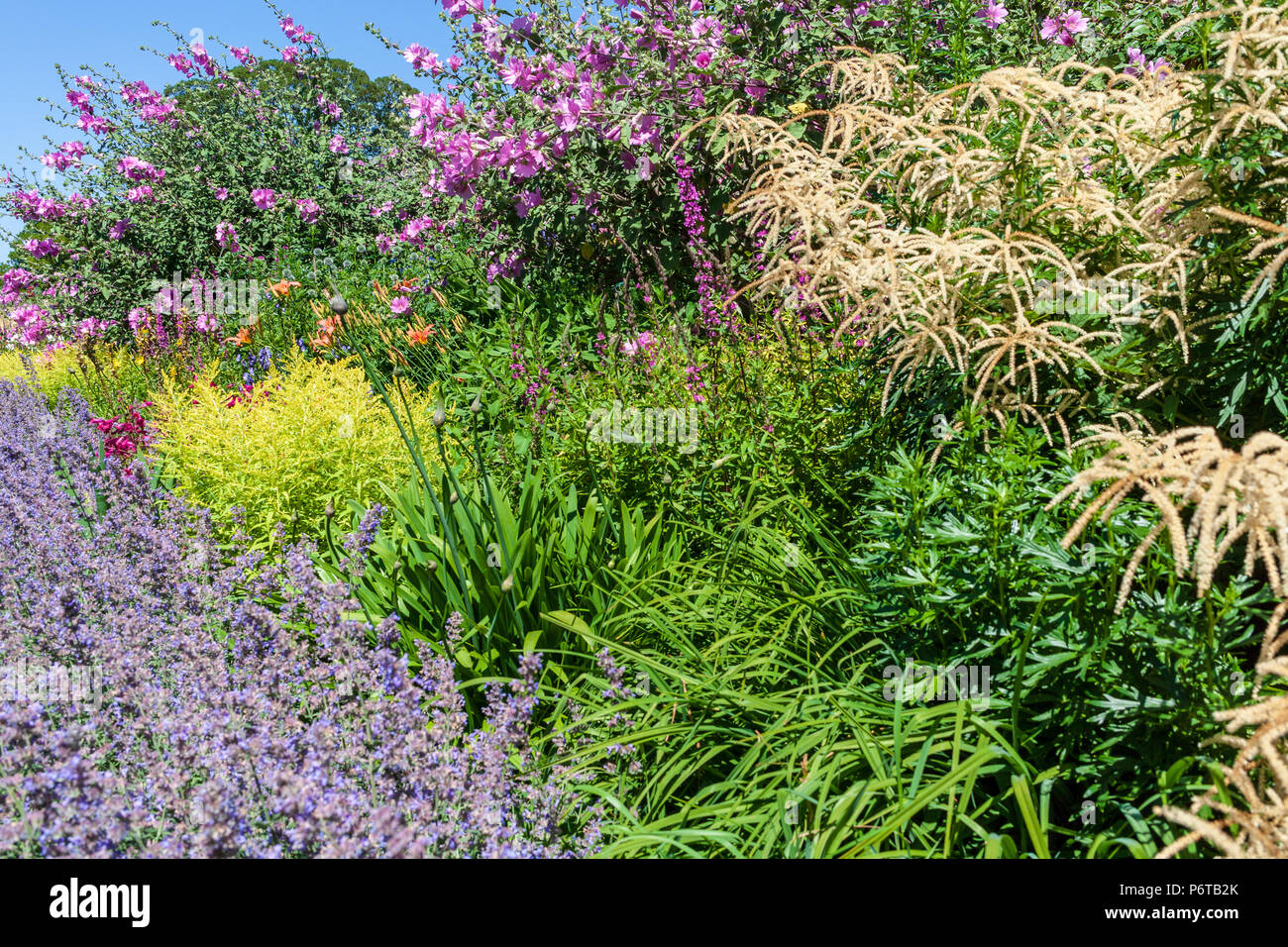 Bunte Staudenbeet ummauerten Garten Sommer uk Stockfotografie - Alamy