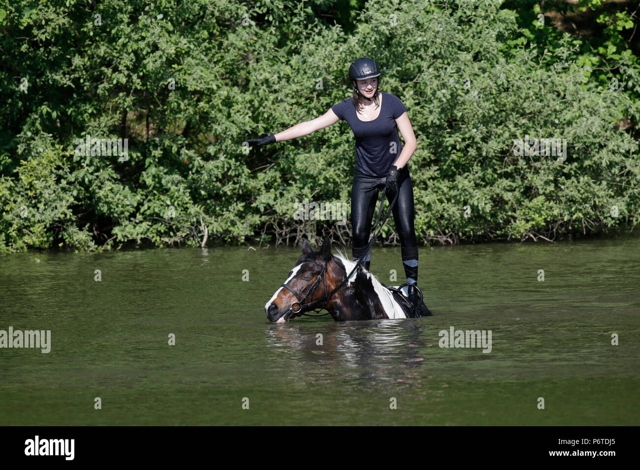 Pferde An Einem See Stockfotos und -bilder Kaufen - Alamy