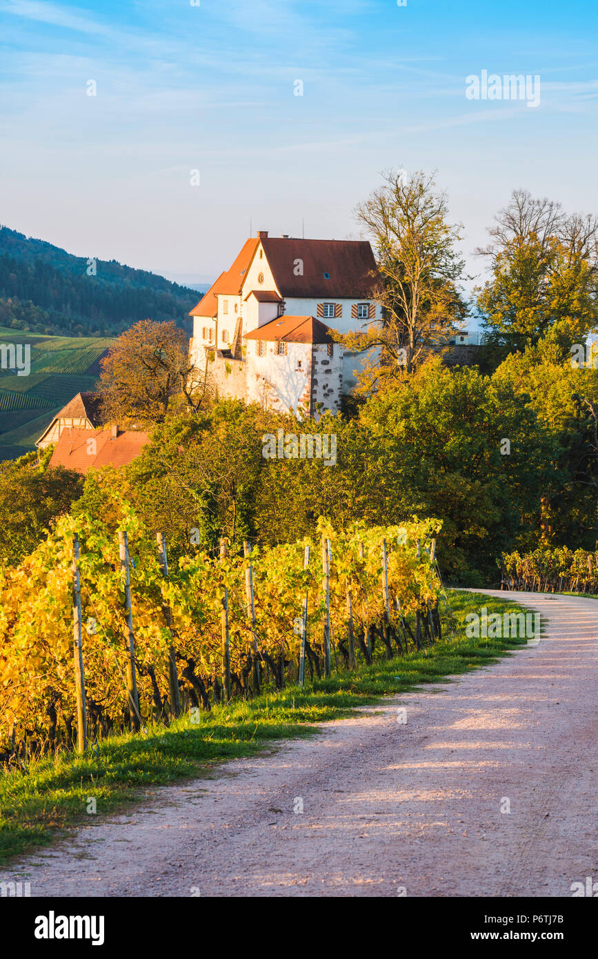 Durbach Baden Wurttemberg Germany Black Stockfotos und -bilder Kaufen - Alamy