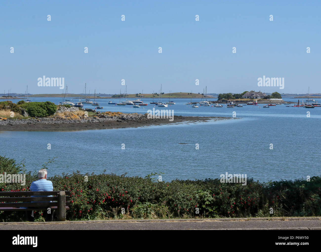 Strangford Lough, County Down, Nordirland. 03. Juli 2018. UK Wetter ...