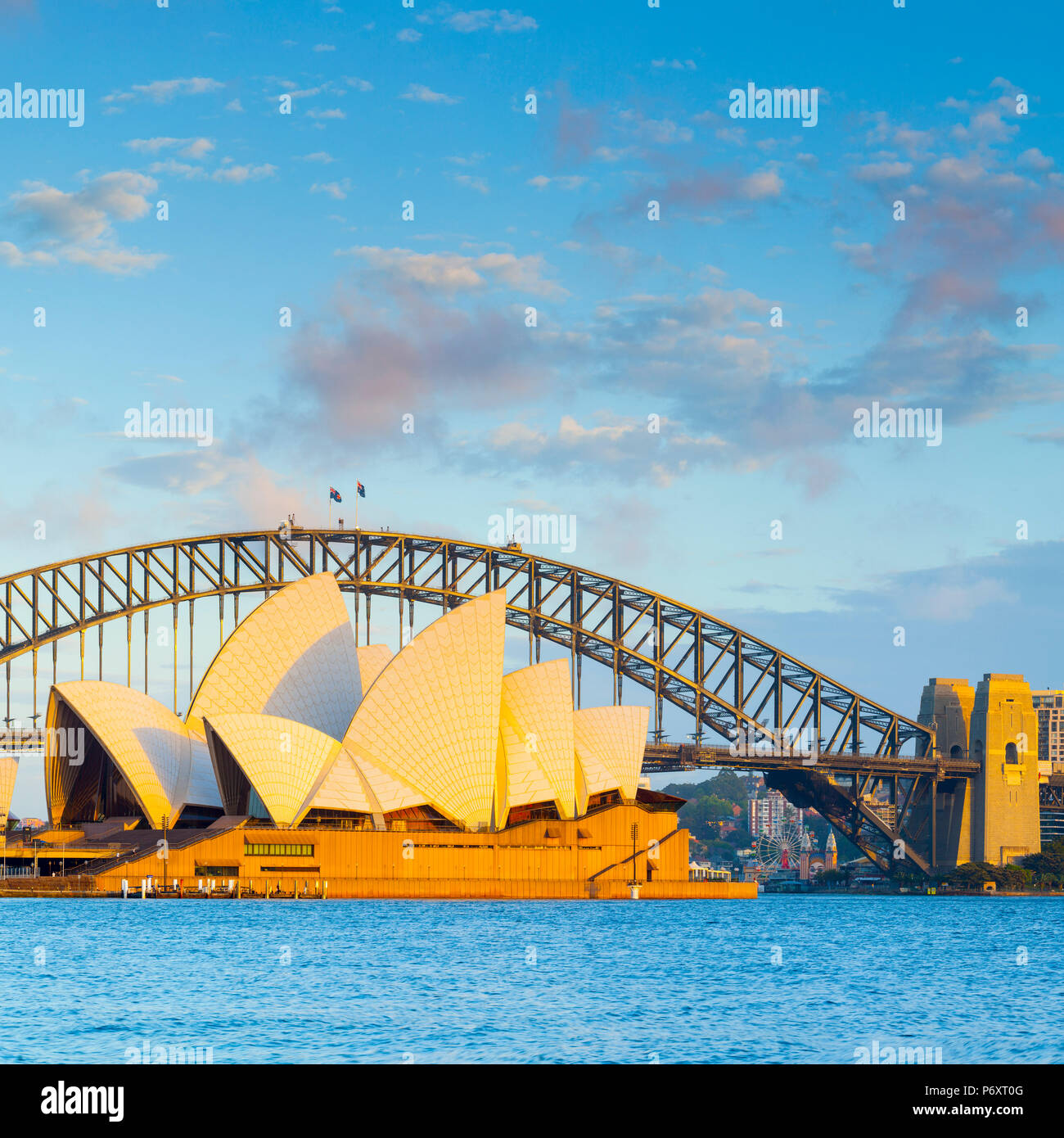 Sydney Opera House And Bridge