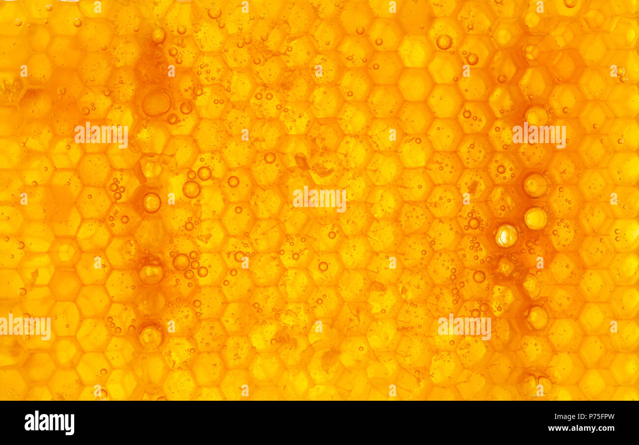 Ein waben design -Fotos und -Bildmaterial in hoher Auflösung – Alamy