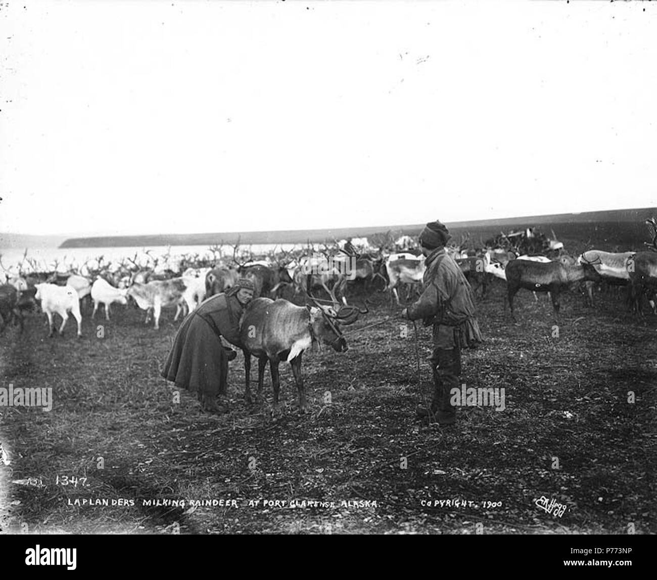 Sami frau -Fotos und -Bildmaterial in hoher Auflösung – Alamy