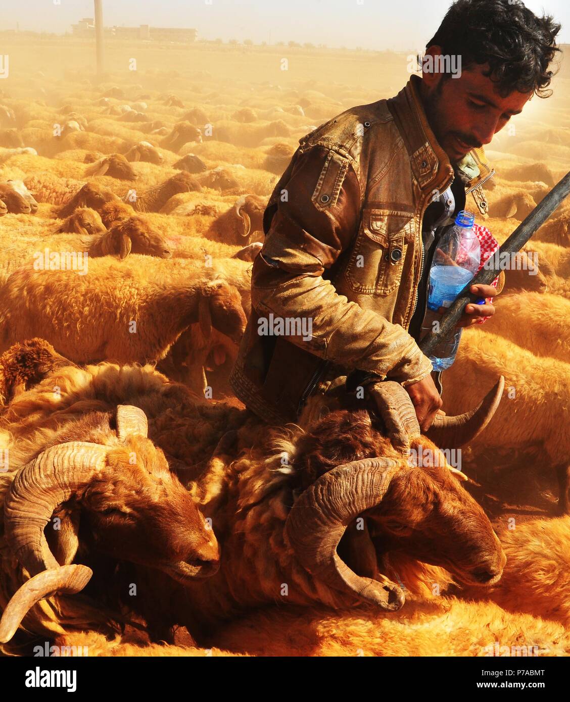 Daraa syria -Fotos und -Bildmaterial in hoher Auflösung – Alamy