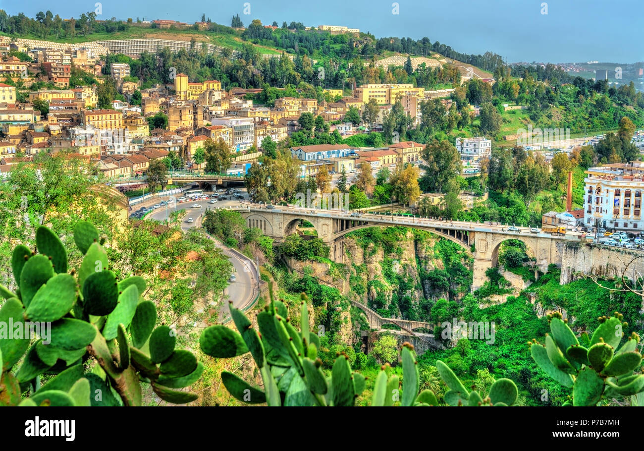 Constantine city bridge algeria -Fotos und -Bildmaterial in hoher Auflösung – Alamy
