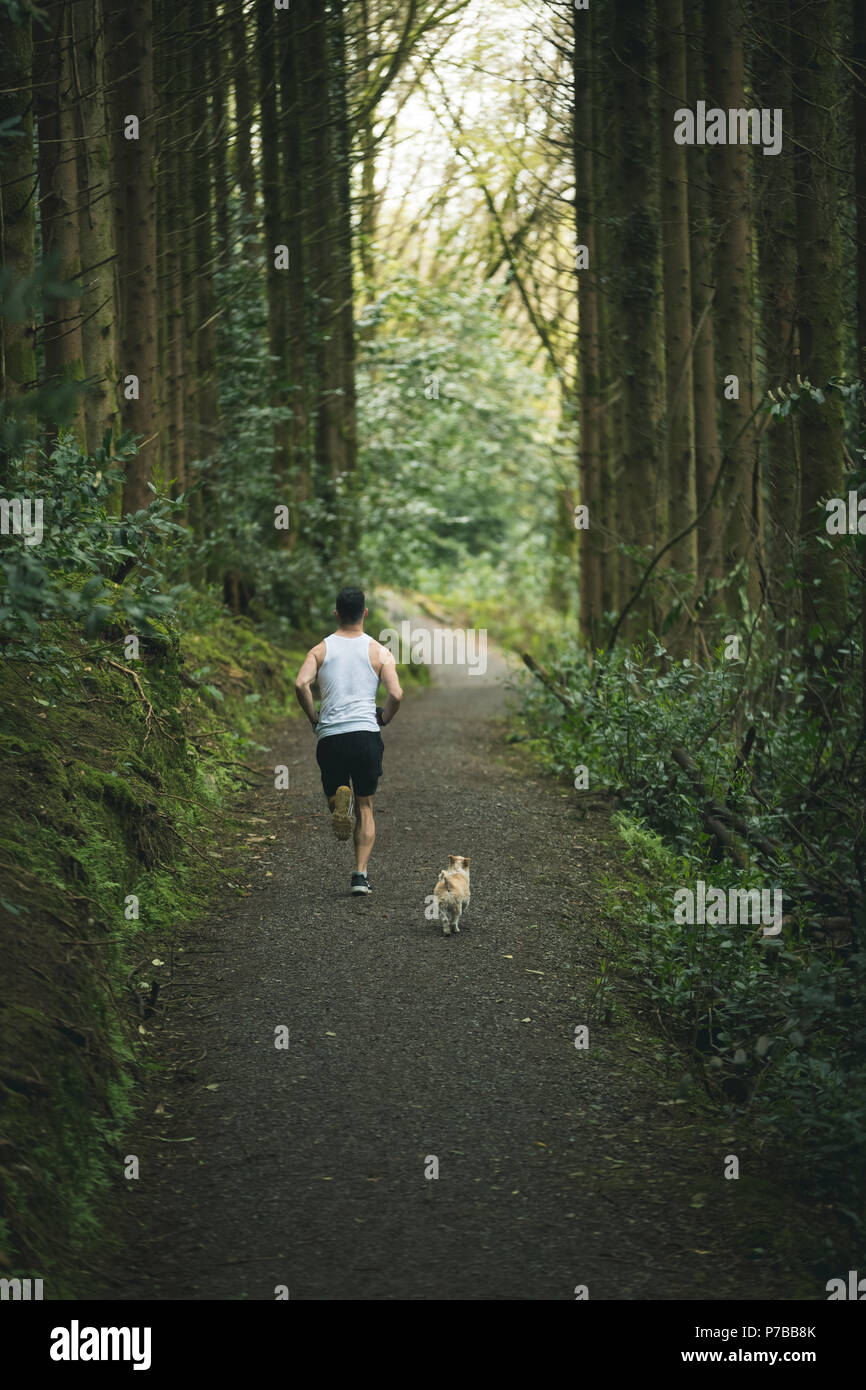 Mann wald mit hund -Fotos und -Bildmaterial in hoher Auflösung – Alamy