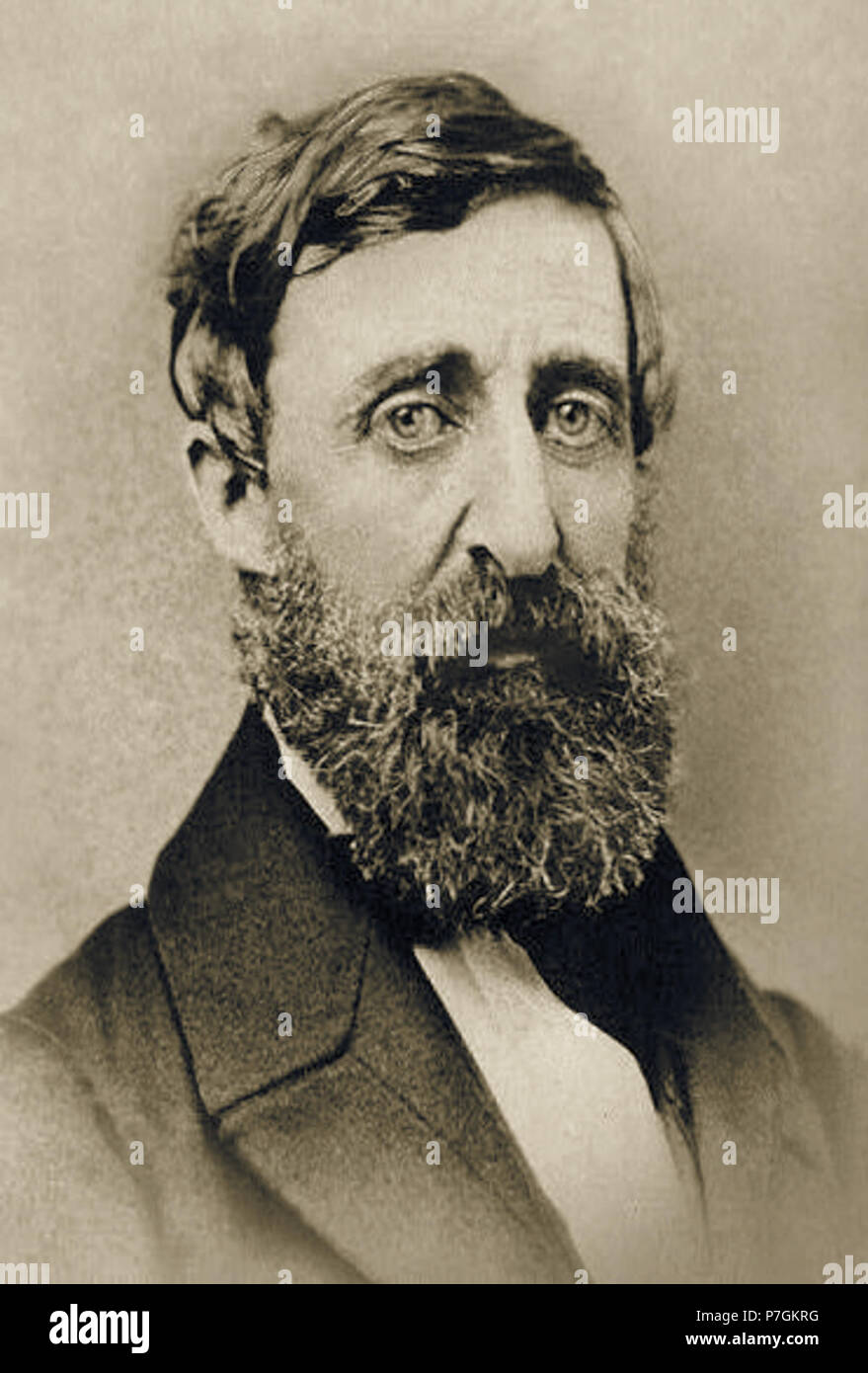 Henry david thoreau portrait -Fotos und -Bildmaterial in hoher ...