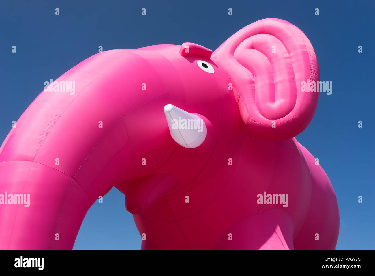 Elephant Cartoon Flying Stockfotos und -bilder Kaufen - Alamy