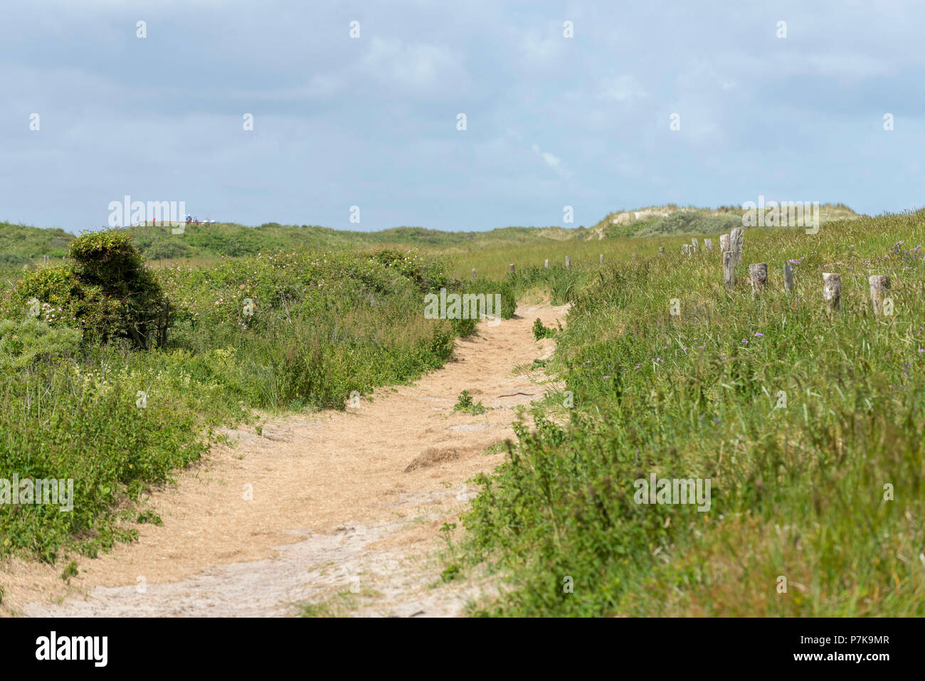 Deutschland, Niedersachsen, Ostfriesland, Juist, Landschaft am ...