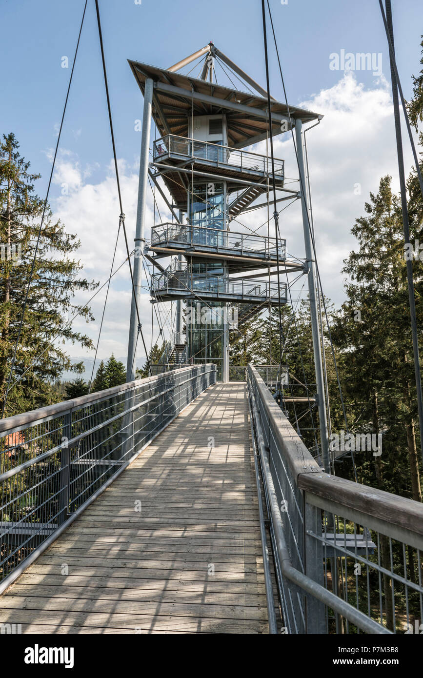 Scheidegg, Bayern, Deutschland, den Skywalk mit Erlebnisweg ...