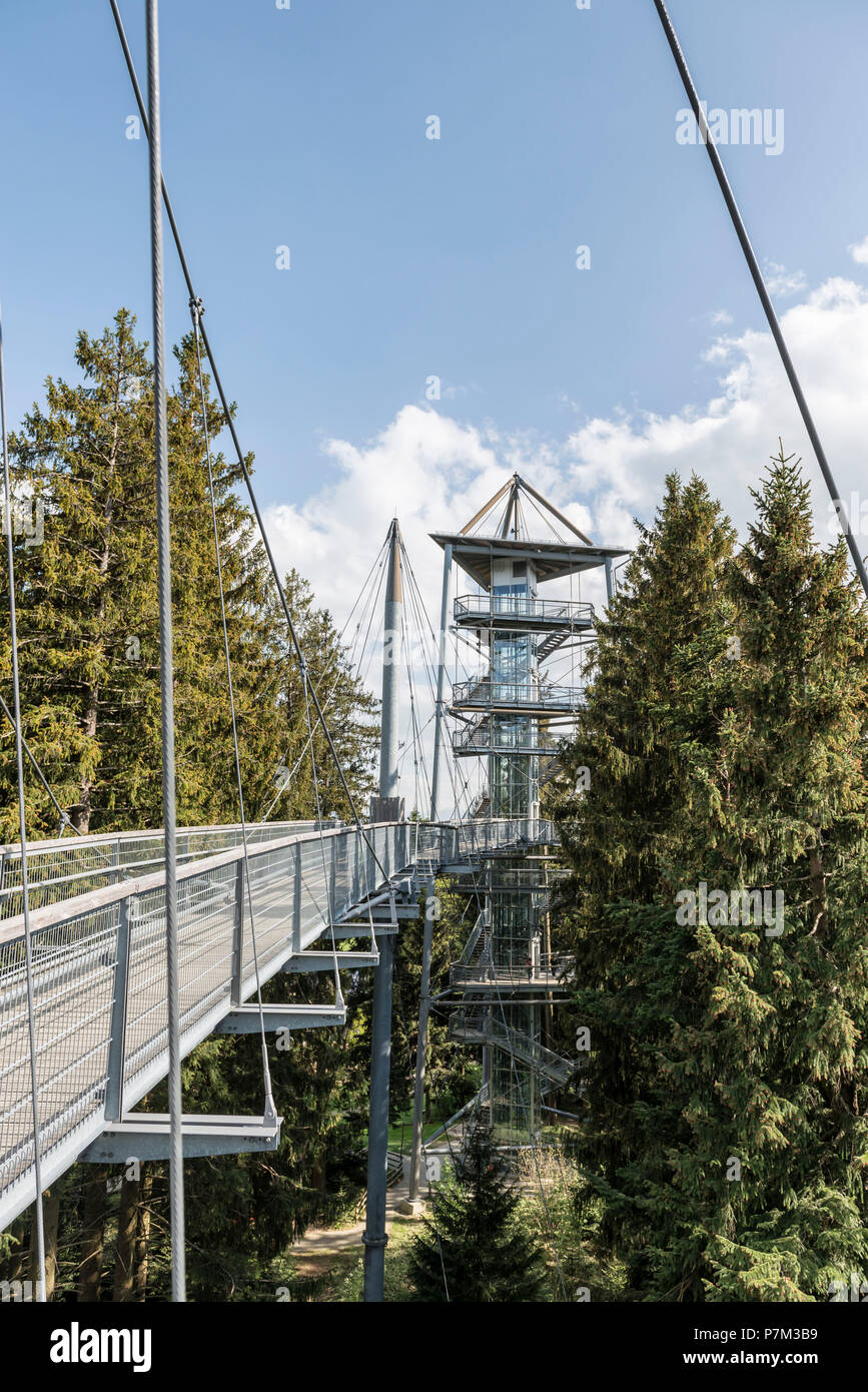 Baumwipfelpfad bei scheidegg -Fotos und -Bildmaterial in hoher ...