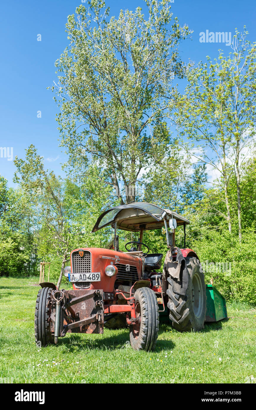 Sulzberg, Bayern, Deutschland, Güldner G45 Traktor, 1967 gebaut ...