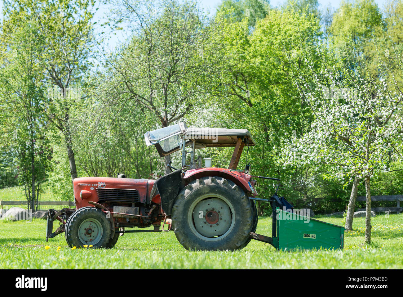 Sulzberg, Bayern, Deutschland, Güldner G45 Traktor, 1967 gebaut ...