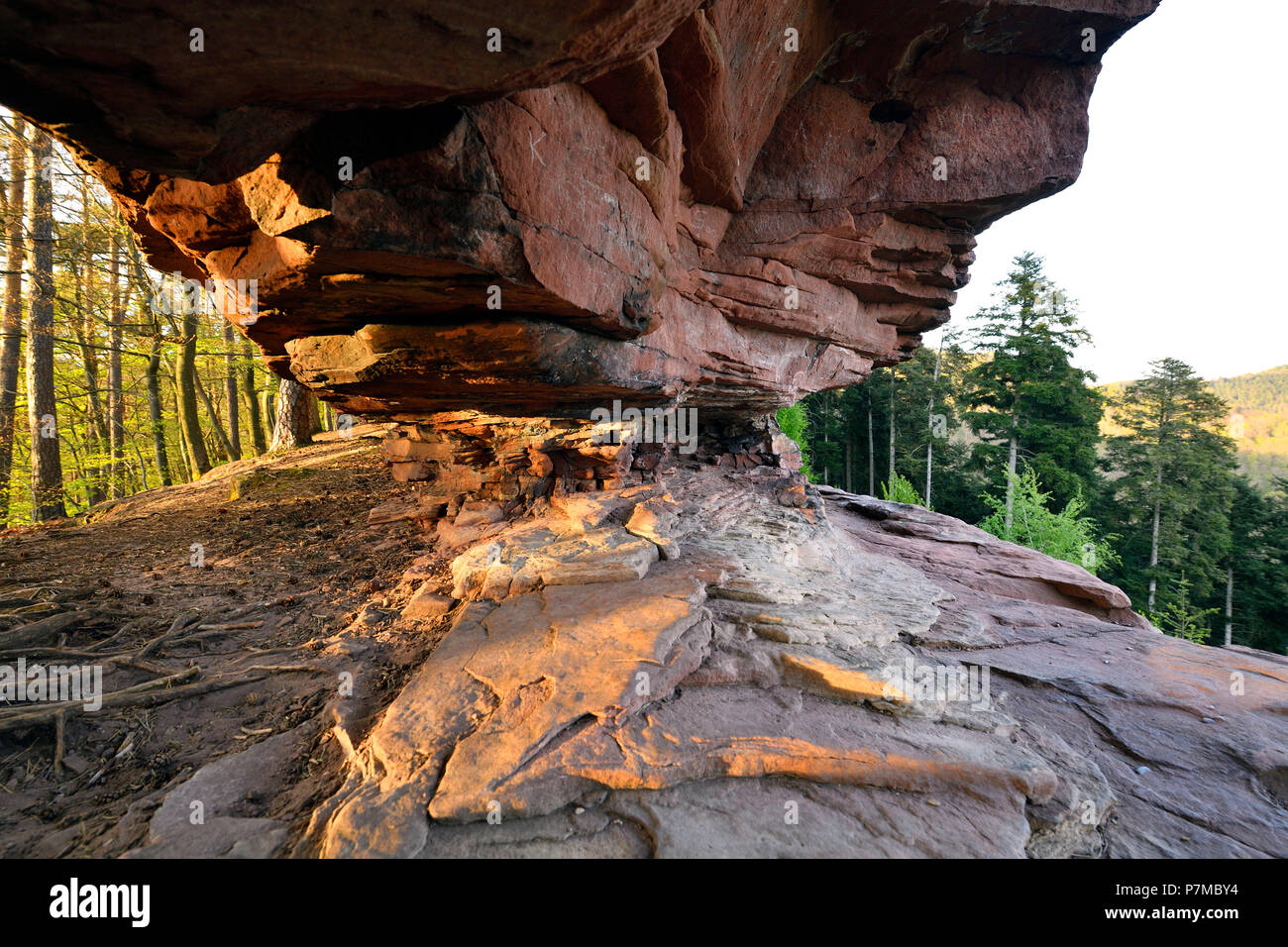 Lembach alsace -Fotos und -Bildmaterial in hoher Auflösung – Alamy