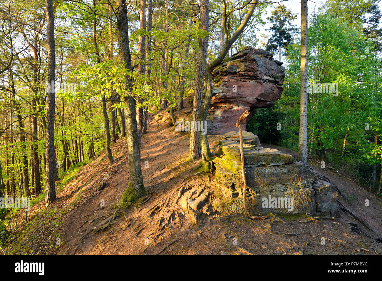 Lembach alsace -Fotos und -Bildmaterial in hoher Auflösung – Alamy