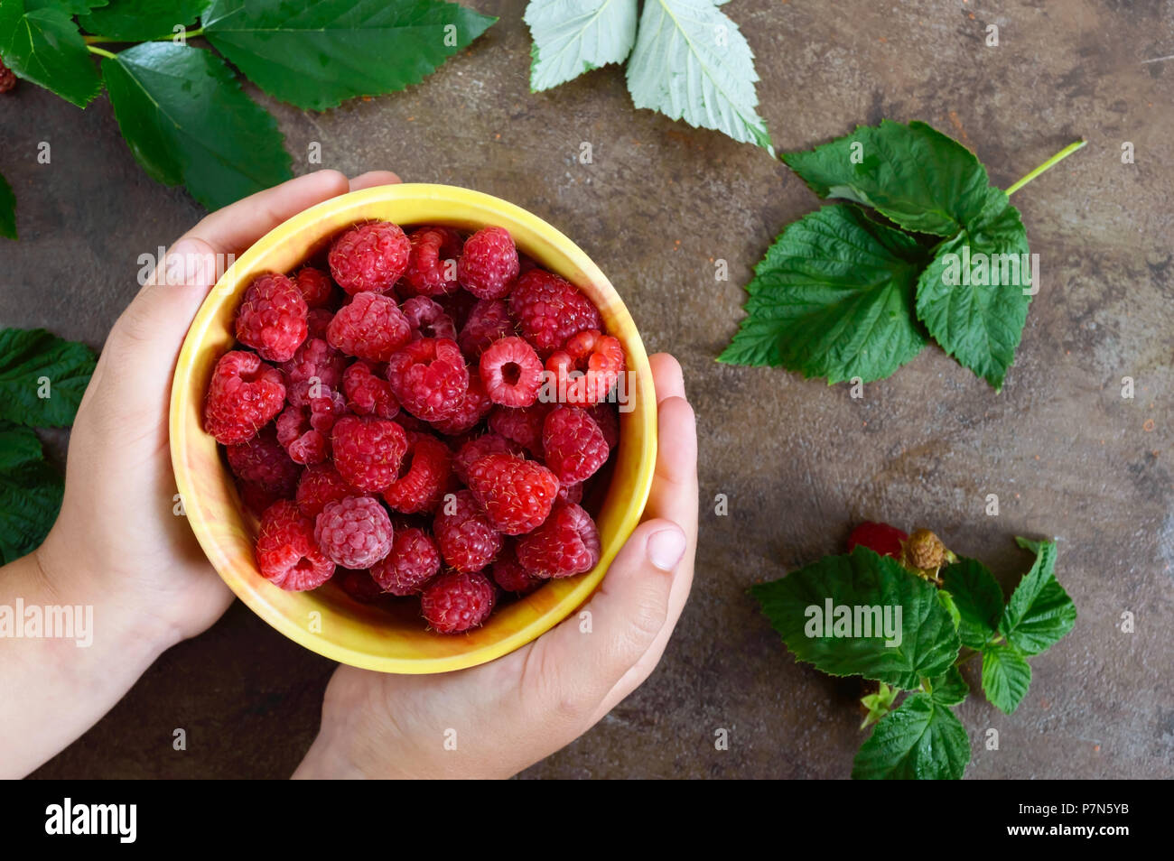 Kinder garten ernte -Fotos und -Bildmaterial in hoher Auflösung – Alamy
