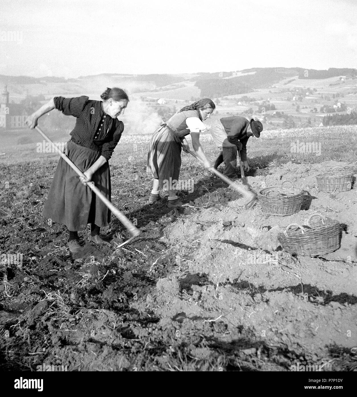 Nachkriegszeit bauern deutschland -Fotos und -Bildmaterial in hoher Auflösung – Alamy