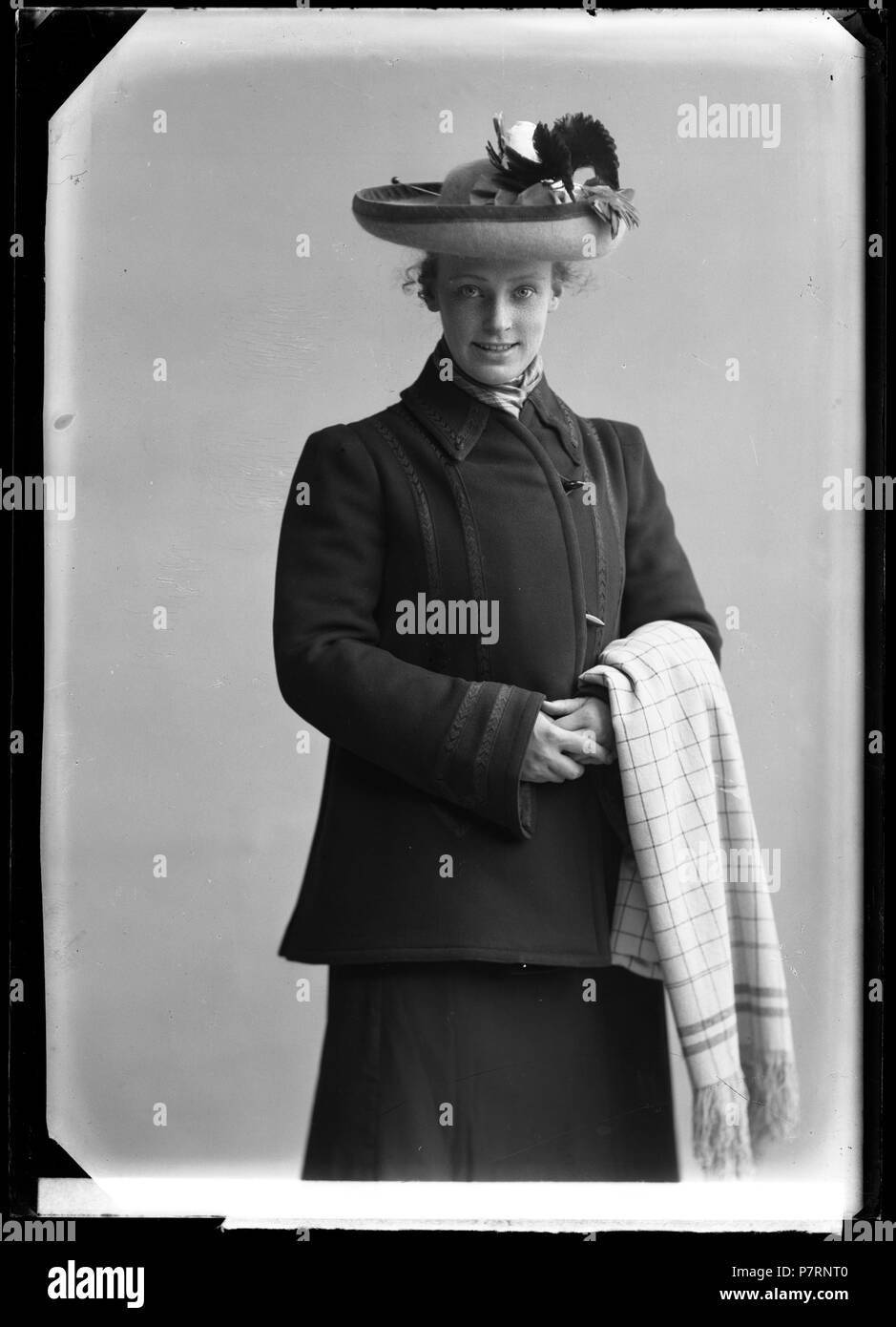 Ester textorius -Fotos und -Bildmaterial in hoher Auflösung – Alamy