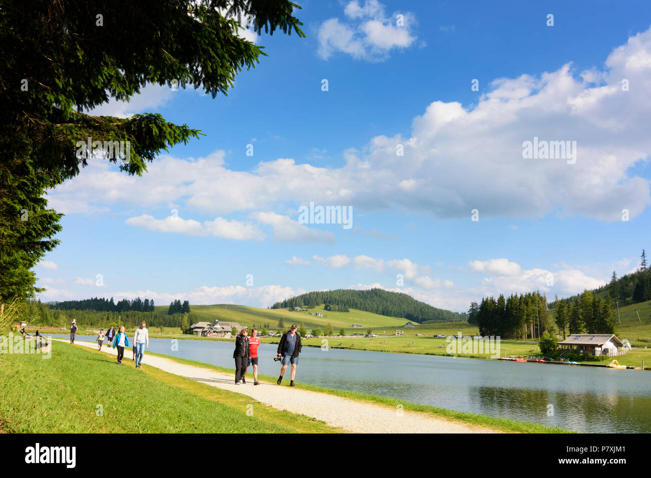 Fladnitz an der Teichalm: Alp Teichalm, See Teichalmsee in Österreich ...