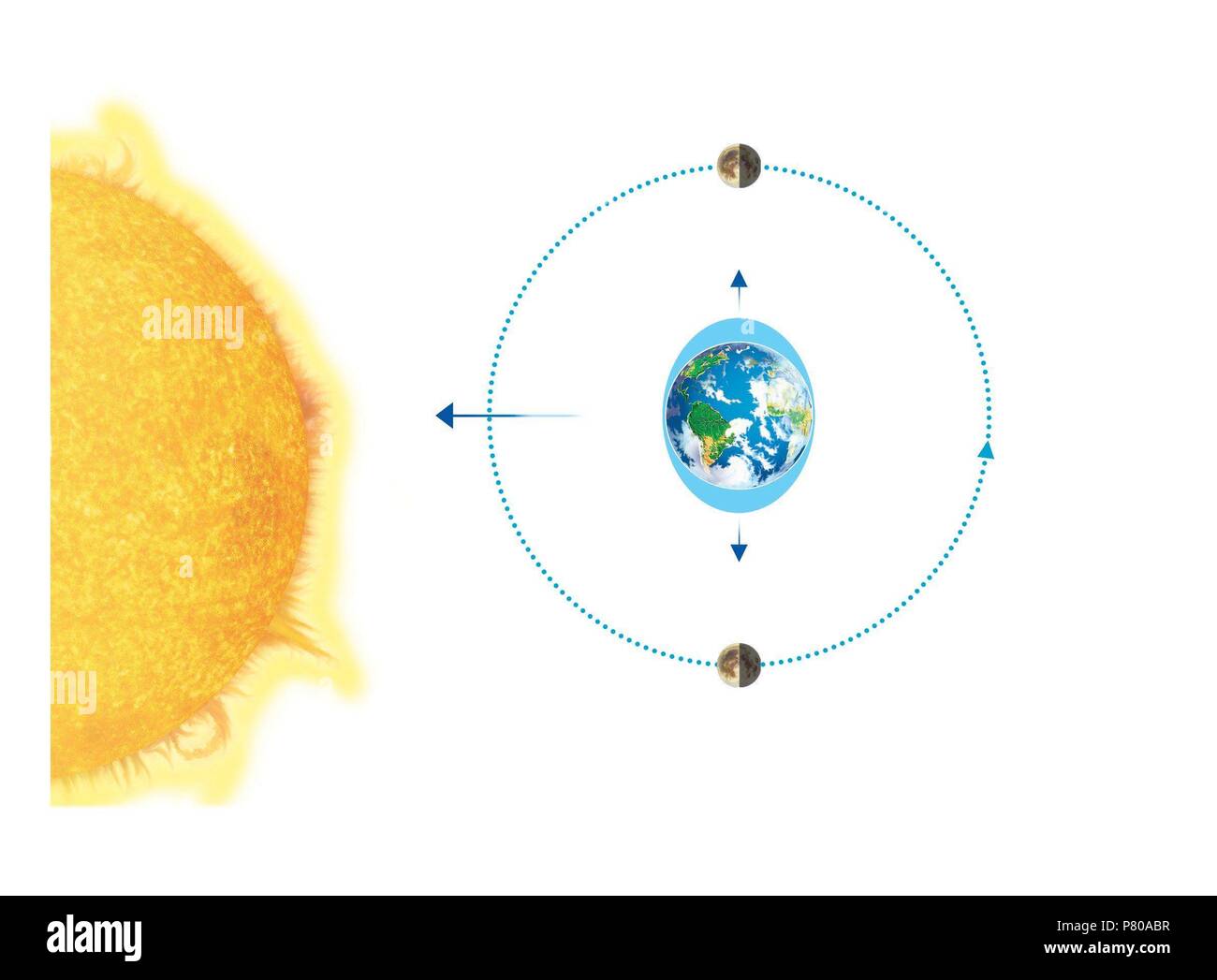 Die Gezeiten. Neap Tide - Wenn der Mond und die Sonne richtig sind ...